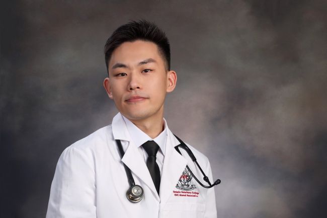 Our Team at Petsville Animal Hospital - Meet Our Caring Staff